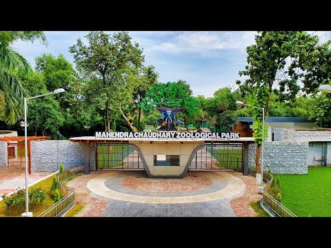 CHHATBIR ZOO (Mahendra Chaudhary Zoological Park) #zoo #animals #animal ...