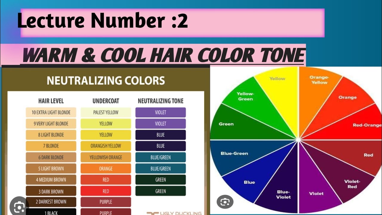 Lecture :2 | Hair color theory |warm and cool tone| neutralizing colors |sadia mubashir - YouTube