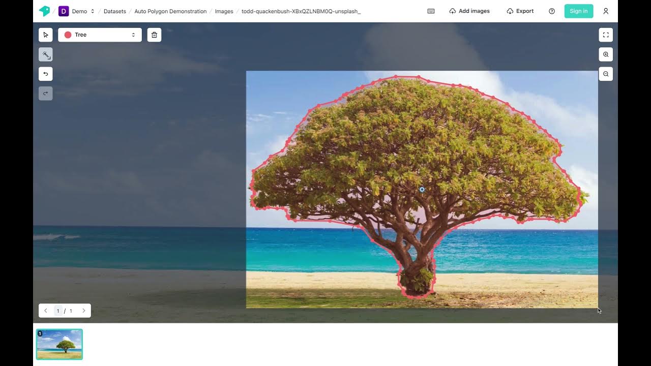 Auto Polygon Edition - Tips - LabelFlow - YouTube