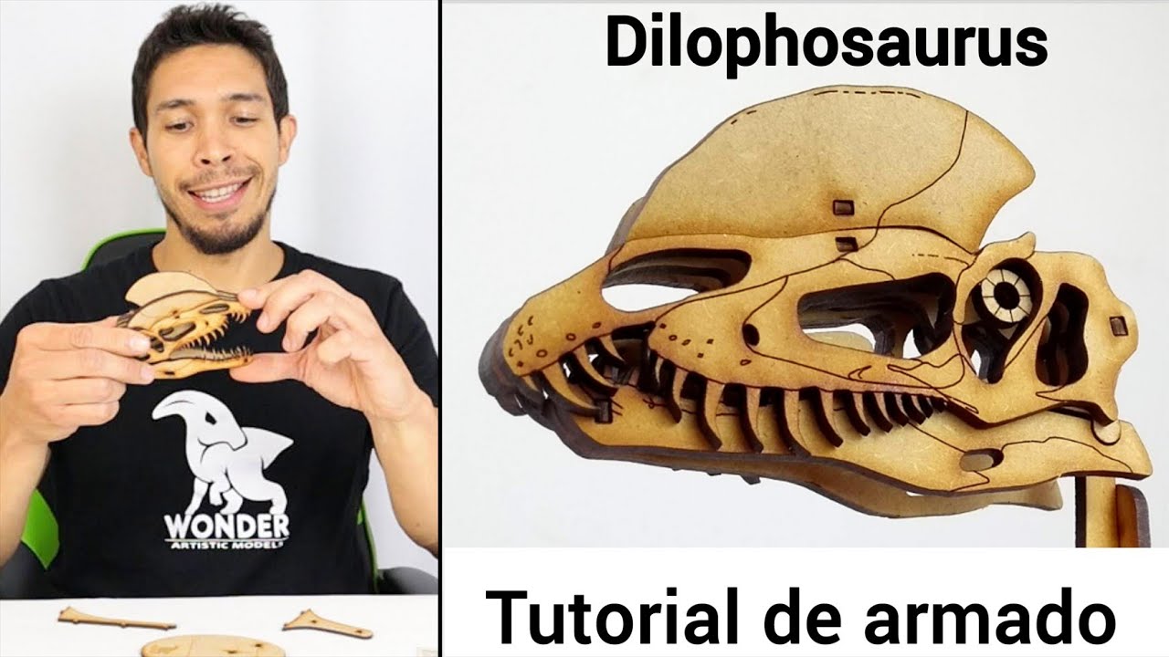 Dilophosaurus Skull 3D Wooden Model Kit | Tutorial del armado - YouTube