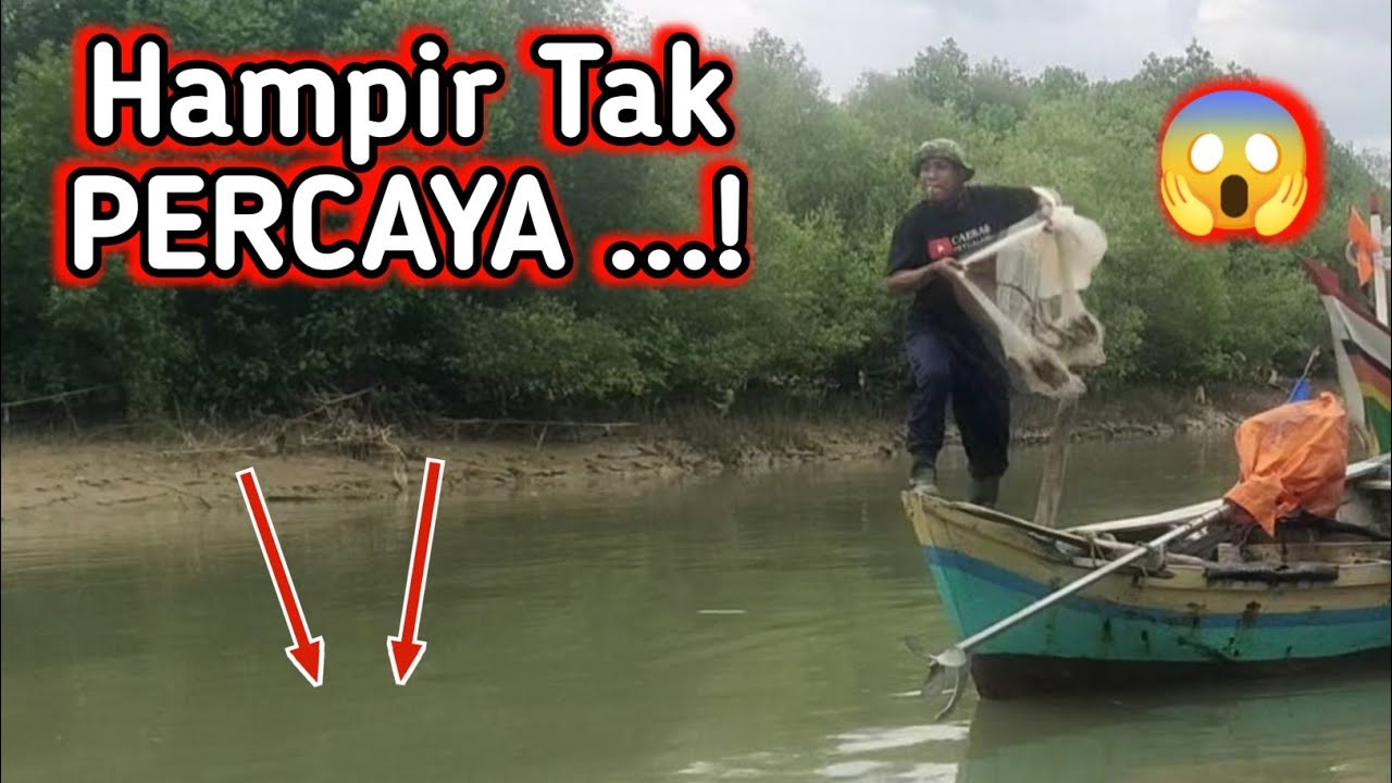 Hampir tak percaya‼️ jala ikan di muara laut || menjala ikan di muara ...