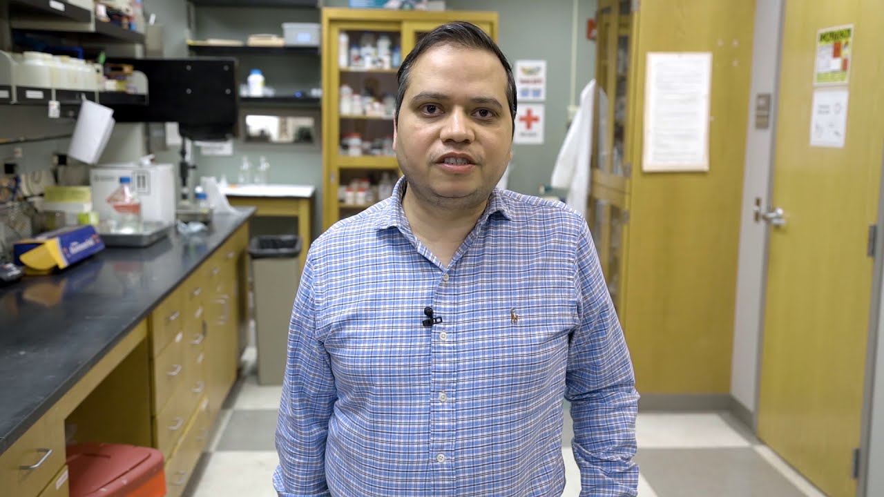 Using Predictive Modeling for Food Safety - YouTube