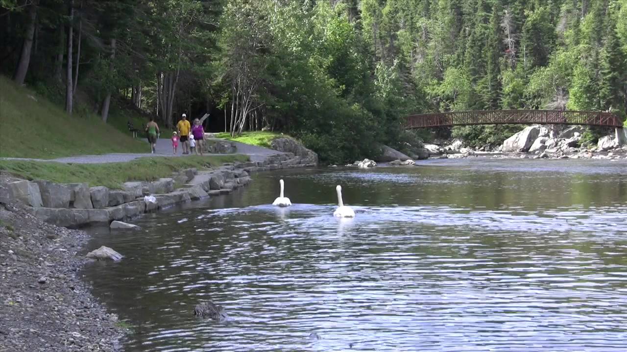 Glynmill Inn Pond in Corner Brook, Newfoundland - YouTube