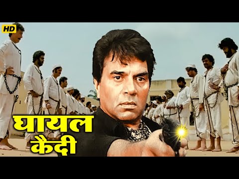 धर्मेंद्र की सबसे सुपरहिट धमाकेदार एक्शन मूवी | शक्ति कपूर की ब्लॉकबस्टर एक्शन फिल्म | Ghayal Qaidi