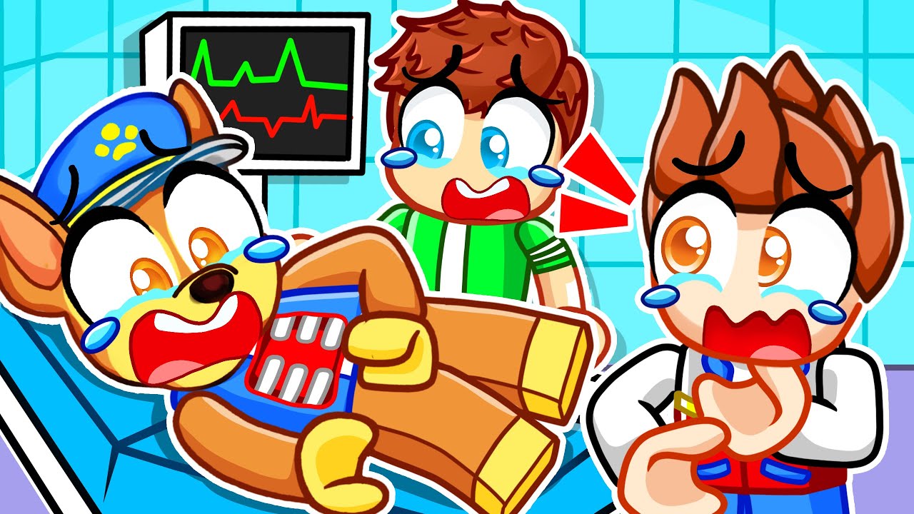 CHASE NEEDS HELP! - YouTube