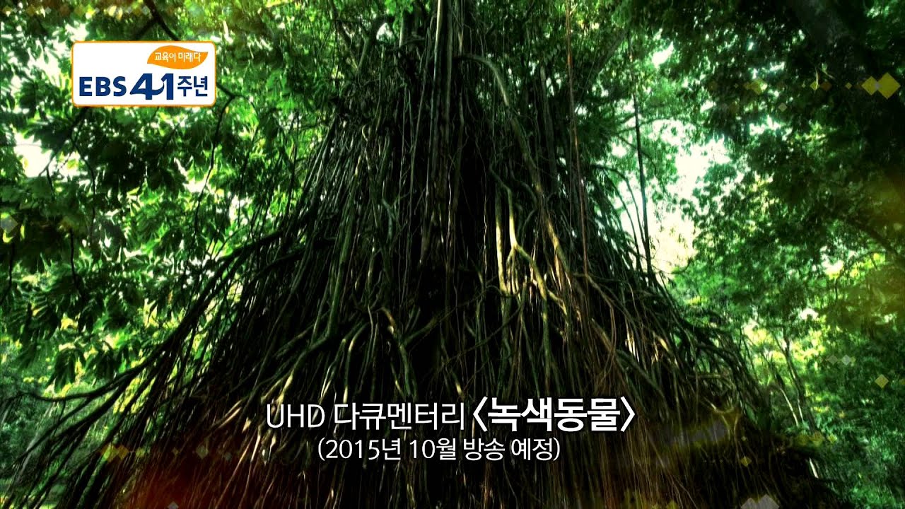 EBS 41주년! - YouTube