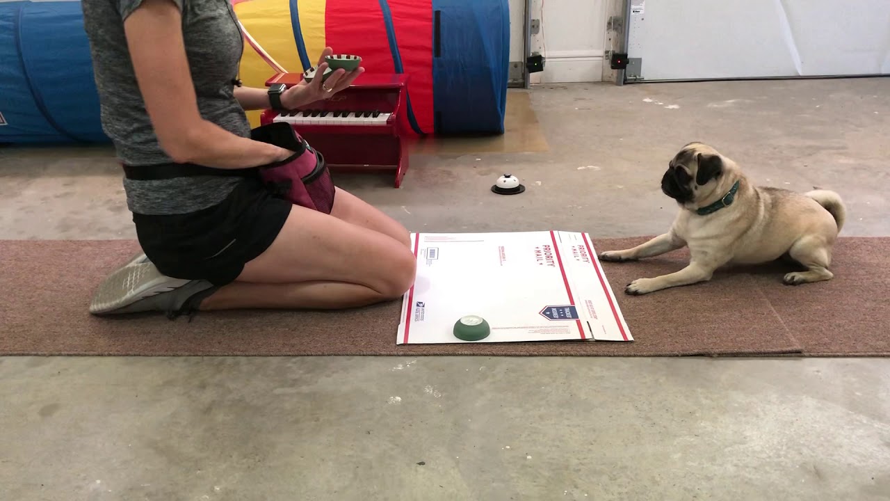 Expert Trick—Shell Game - YouTube