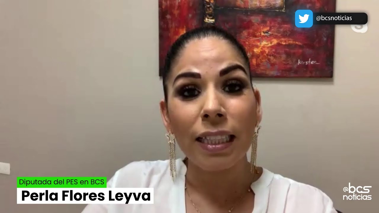 #ENTREVISTA: Hablamos con la diputada Perla Flores, sobre la situación ...