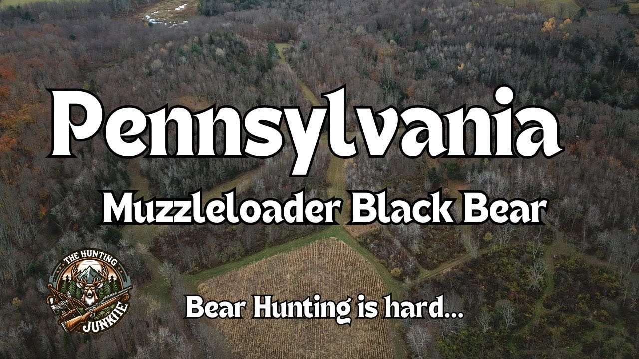 Pennsylvania Muzzleloader Bear Hunting 2024 - YouTube