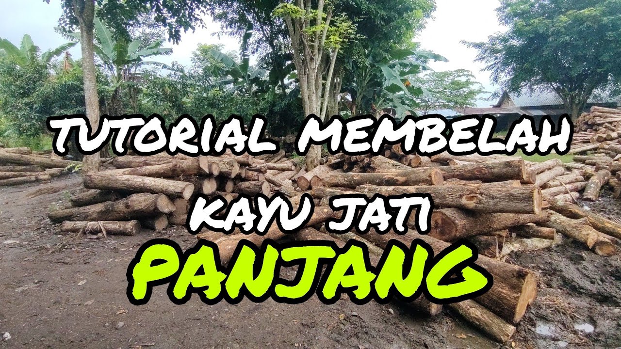tutorial membelah kayu panjang - YouTube