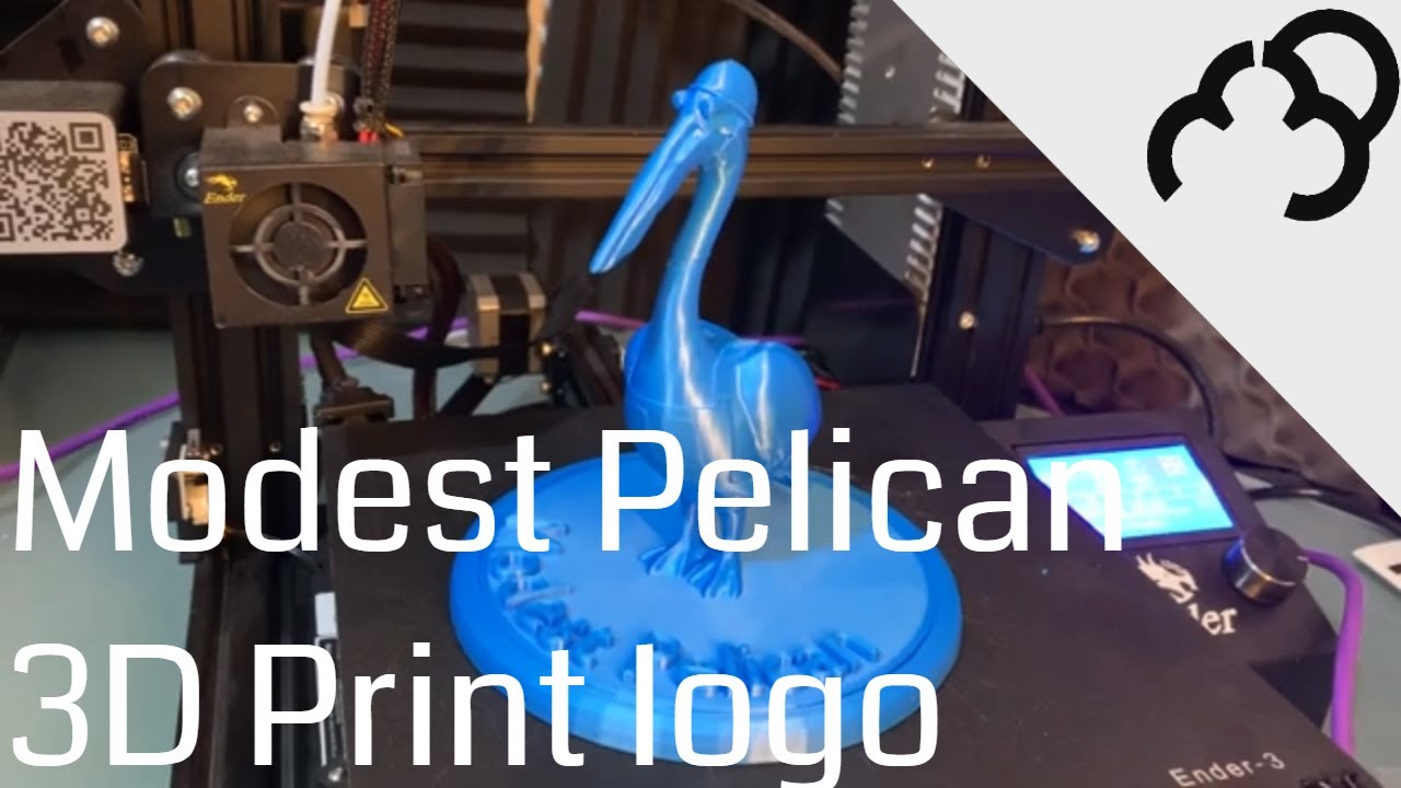 Modest Pelican Gaming - Model - 3D Print - YouTube