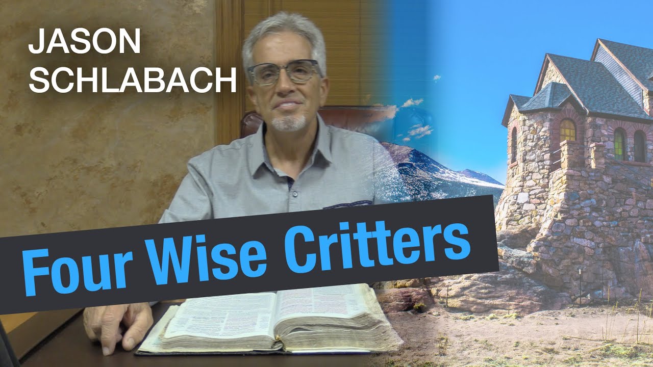 Four Wise Critters | Jason Schlabach - YouTube