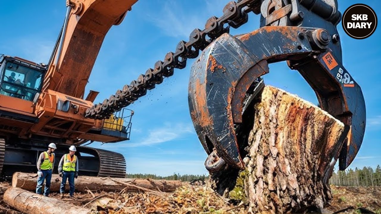 Extreme Dangerous Logging Machines in Action | Fastest Tree Cutting ...