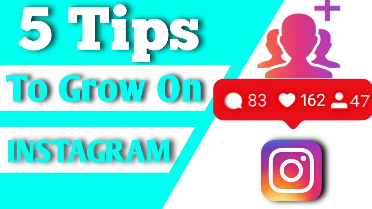 How To Gain Instagram Followers Organically Gain 10k Followers Fast