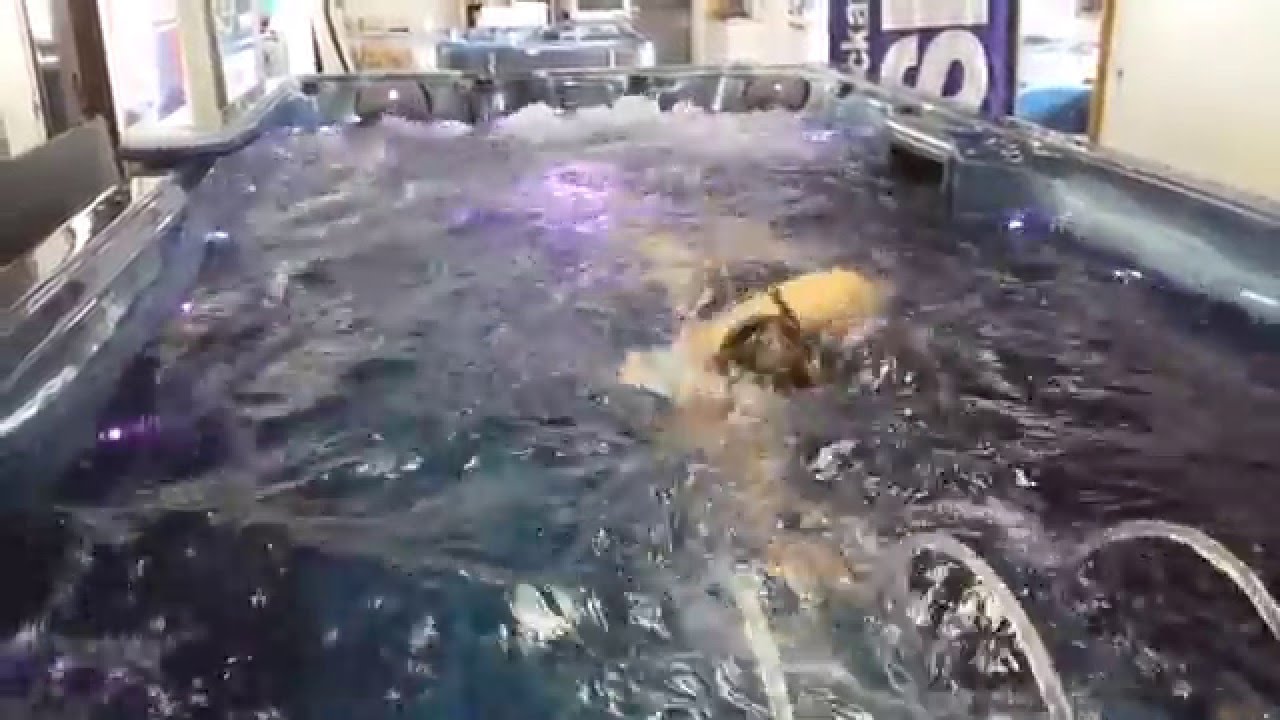 Swim Spa Demonstration - YouTube