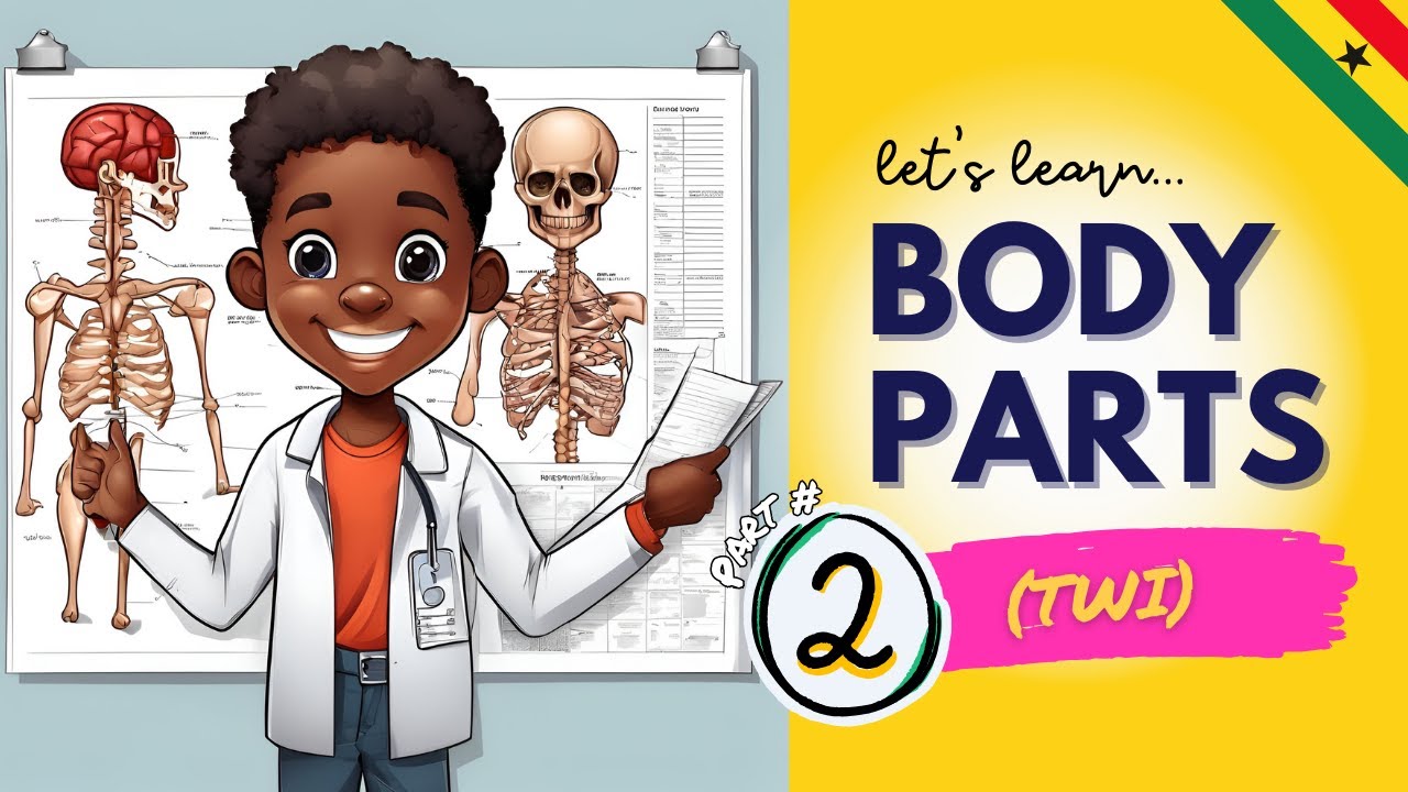 Body Parts (Part 2): Twi Learning with Little Languages! - YouTube