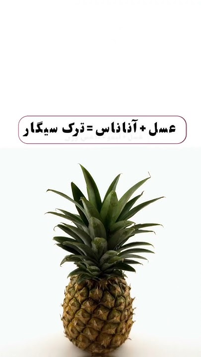 مگه داریم بهتر از ااااااین😍😍، چند تا دیگه هم تو اینجا بگو Youtube