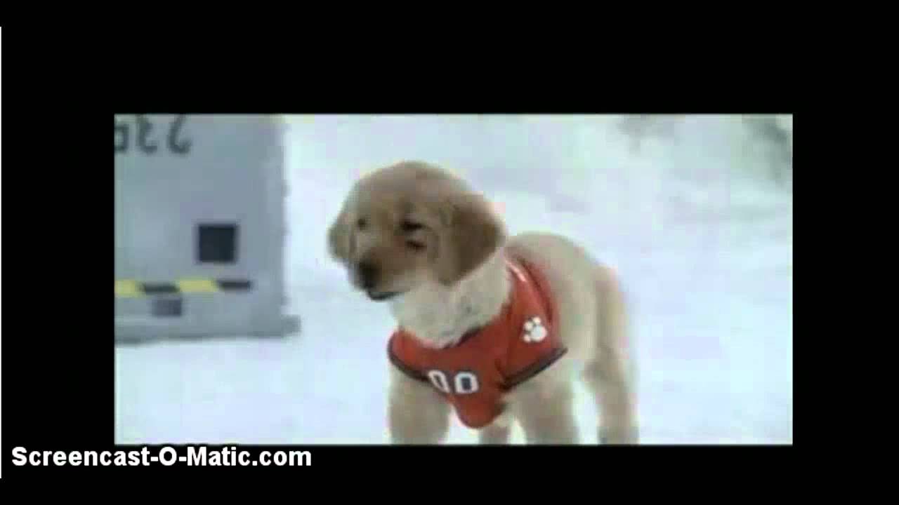 Snow Buddies Trailer - YouTube