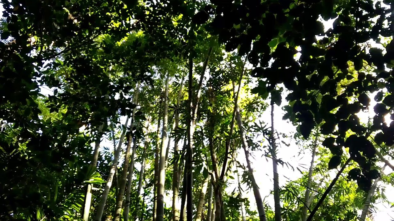 Extreme hagdan sa Batangas - YouTube