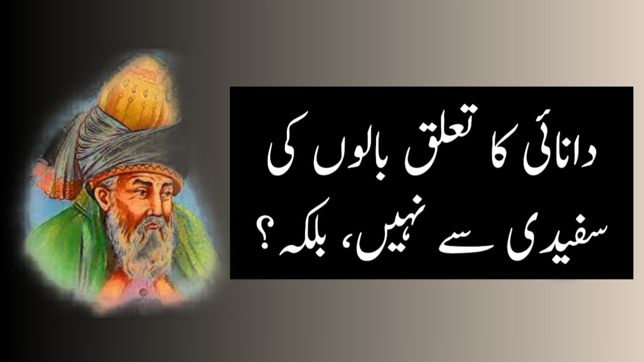 Danai ka Taluq Balon ki Safaidi se nhi| Moulana Rumi Quotes | Rumi ...