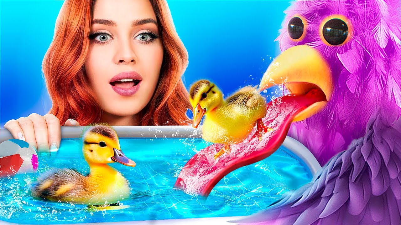 Pokémon vs Ptak Opila! Budujemy Sekretne Pokoje dla Zwierząt! - YouTube