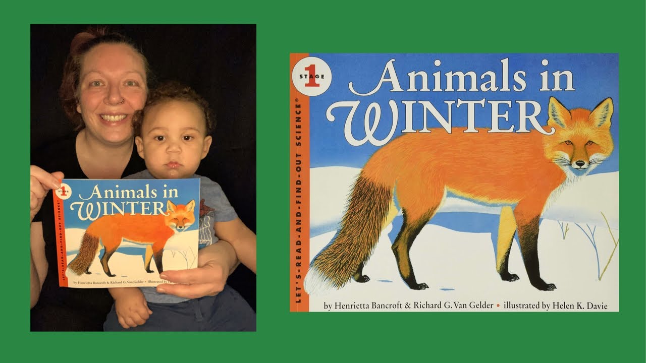 Story Time | Animals in Winter | Nature Books | Learning About Animals ...
