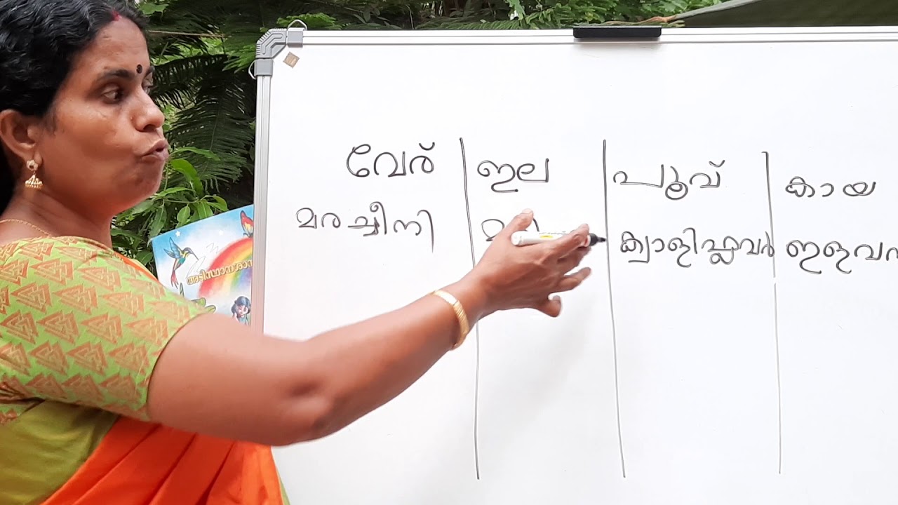 Science Class 5th Standard For Kerala Syllabus YouTube science-class-5th-standard-for-kerala-syllabus-youtube