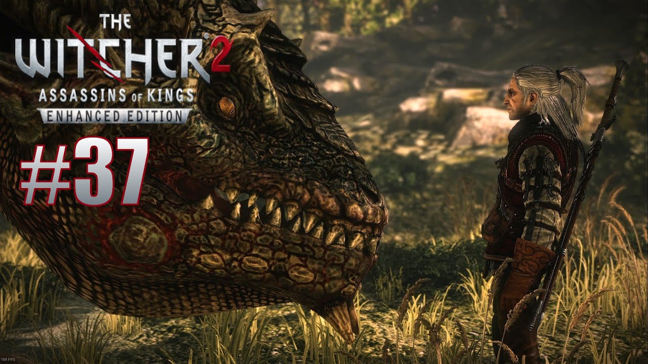 Defeating Saskia The Dragon Now Time For Letho - The Witcher 2 ...