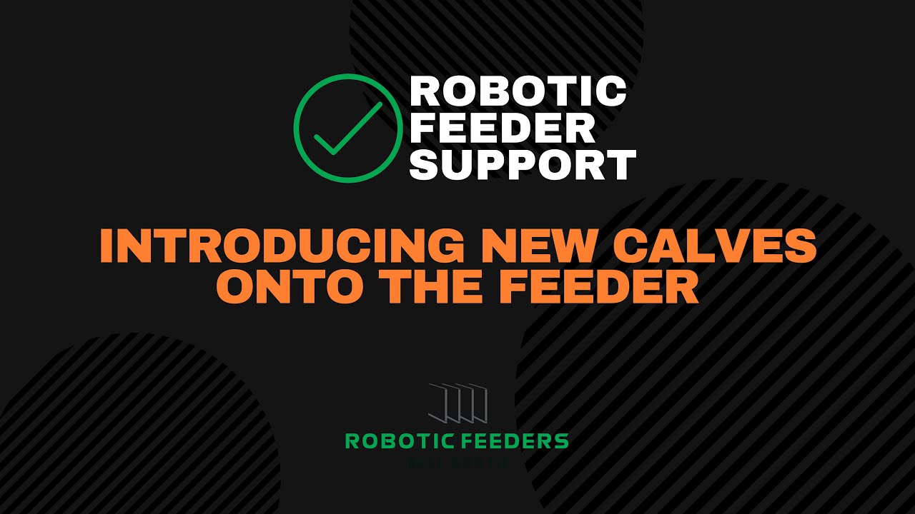 Robotic Feeder Support: Introducing new calves onto the feeder - YouTube