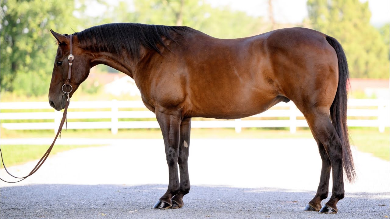 Baron - Full Video - YouTube