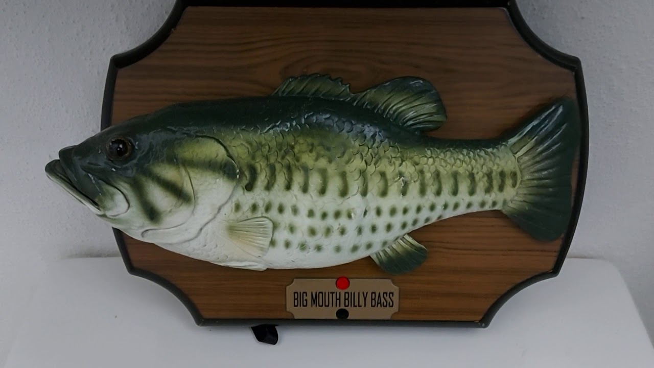 Late 1999 Billy bass - YouTube