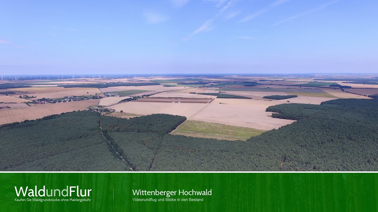 Wald Sachsen Anhalt Kaufen