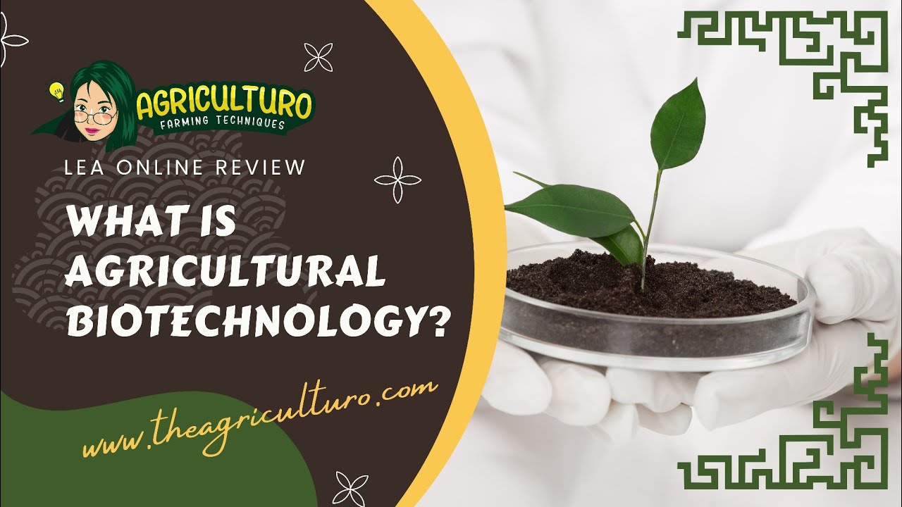 What is Agricultural Biotechnology? - YouTube