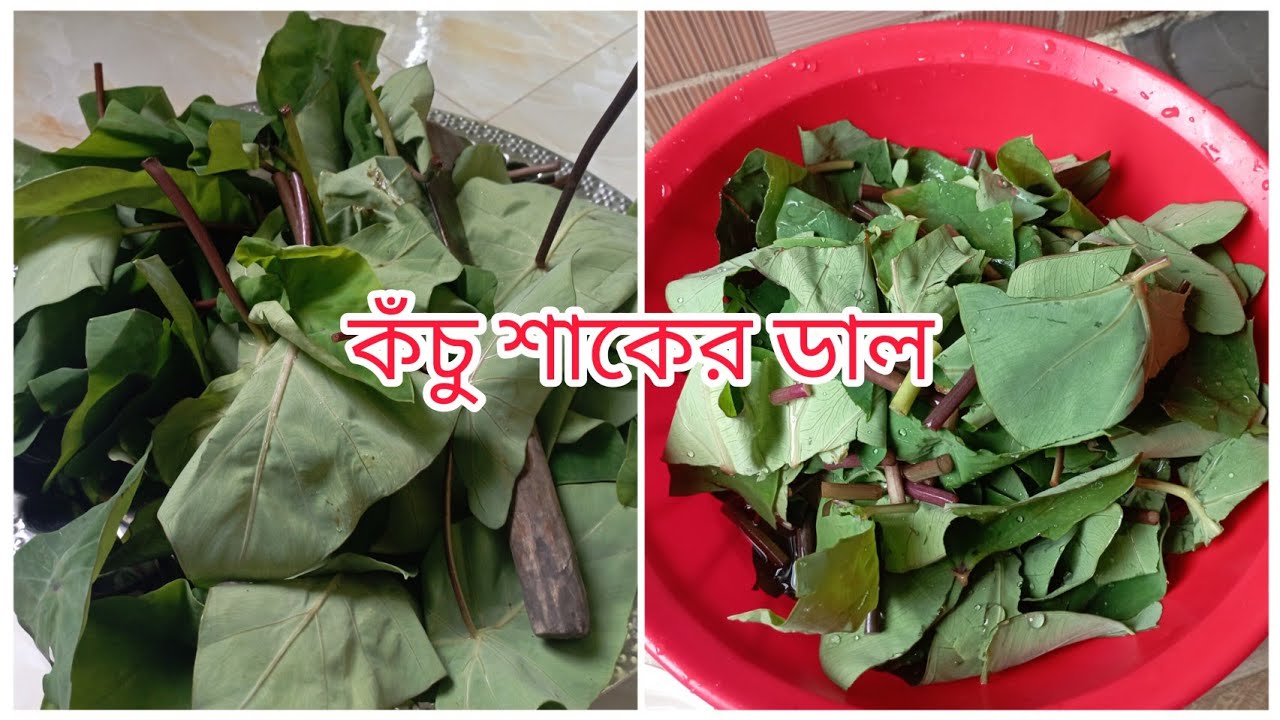 অসম্ভব মজার কঁচু শাকের একটি রেসিপি। An amazingly delicious kanchu sak ...