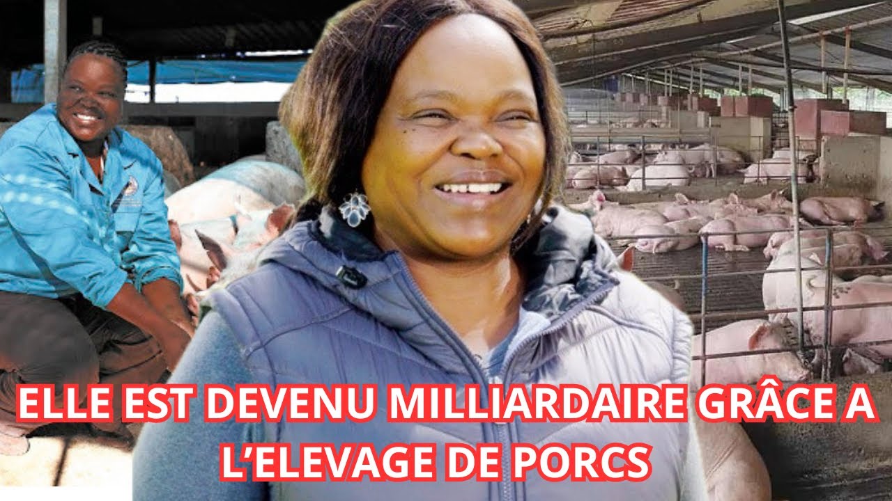 De 50.000 fcfa à MILLIARDAIRE grâce à l’ELEVAGE DES PORCS : l’histoire ...