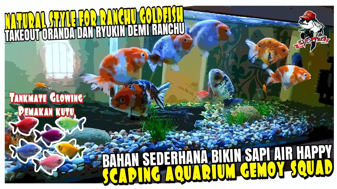 NATURAL TANK FOR RANCHU SQUAD | SAPI AIR GEMOY JADI HAPPY - YouTube
