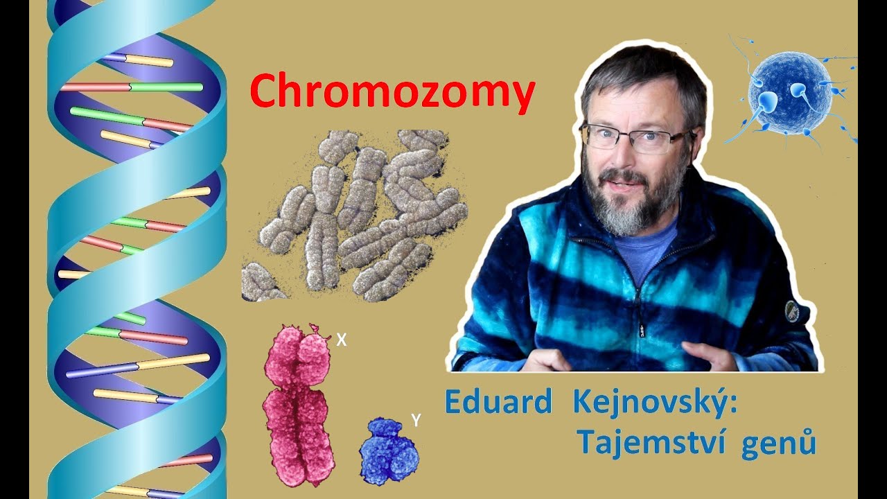 Chromozomy (Tajemství genů 54) - YouTube