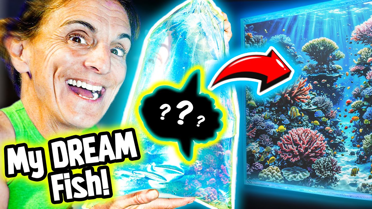 Unboxing My DREAM Fish For The Aquarium! - YouTube