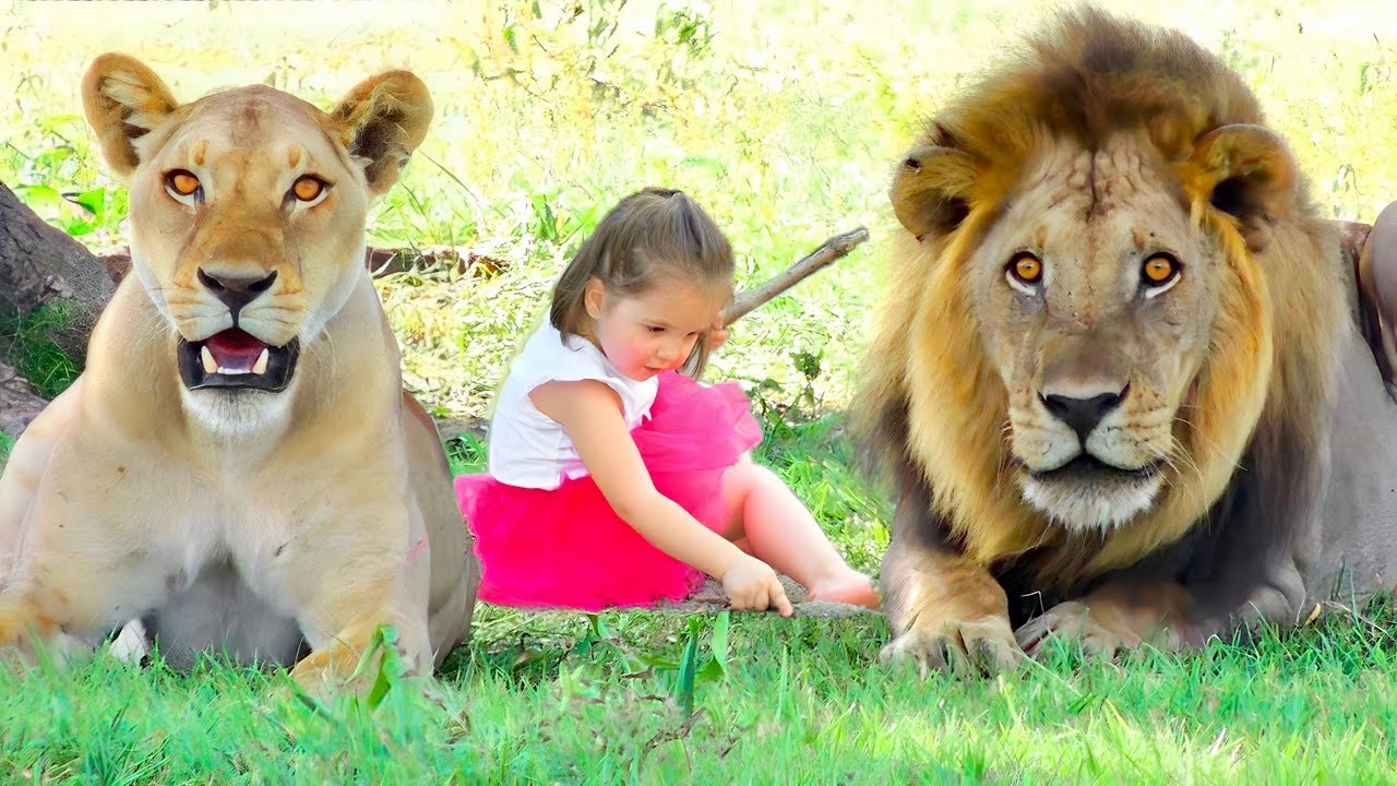 Hero Animals that Saved Human Lives - YouTube