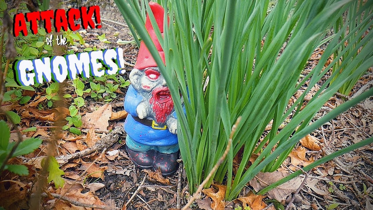 Attack of the Creepy Yard Gnomes! - YouTube