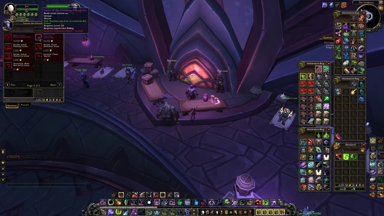 Toraan the Revered - Reputation Vendor (Augussian Reach Emissary) - YouTube