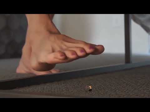 Giantess Mikayla Miles - The Little Cheat