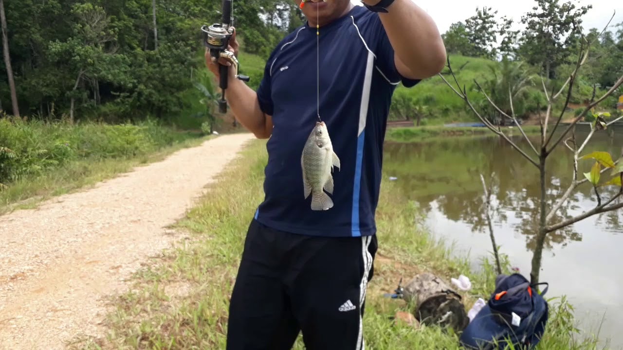 MANCING DI DANAU PINGGIR KAMPUNG - YouTube