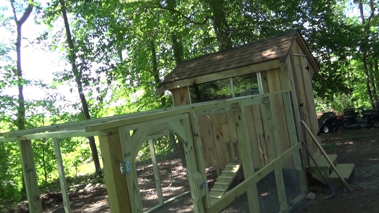 chicken run with the Big Dawg - YouTube