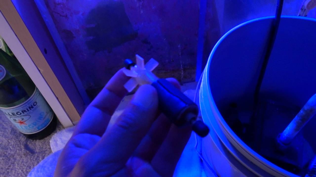 Do Things Just Randomly Break In A Reef Aquarium YouTube do-things-just-randomly-break-in-a-reef-aquarium-youtube