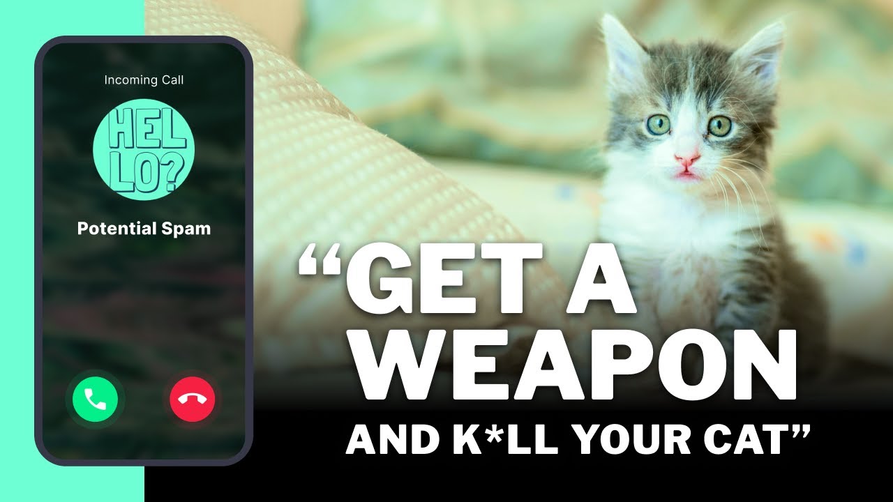 Angry scammer won't let me leave money for my cat - YouTube