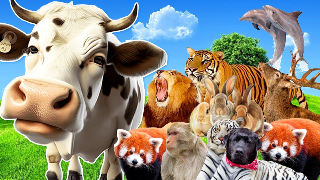 Funny Animal Sounds In Nature: Lion, Rhino, Giraffe, Elephant, Cow, Pig ...