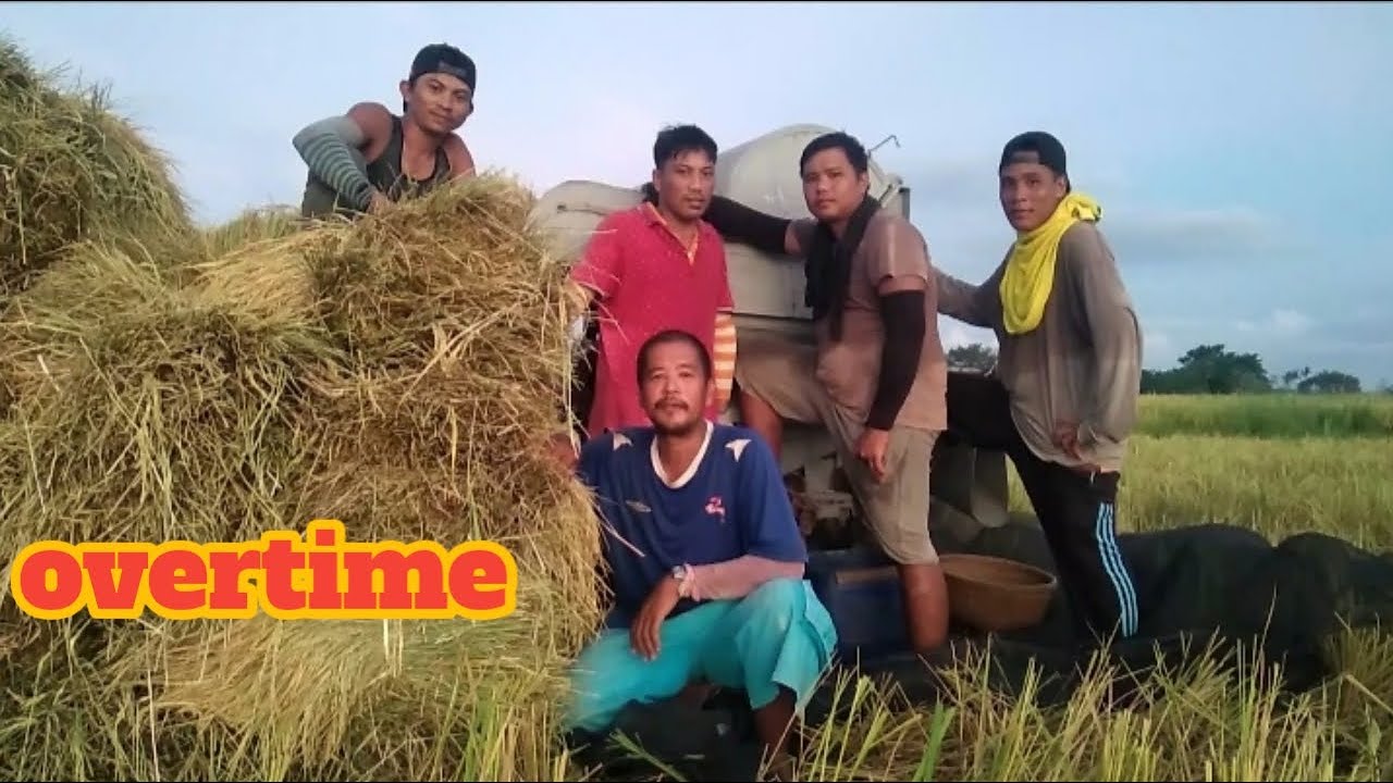 Bukid vlog part 3 proud magsasaka - YouTube