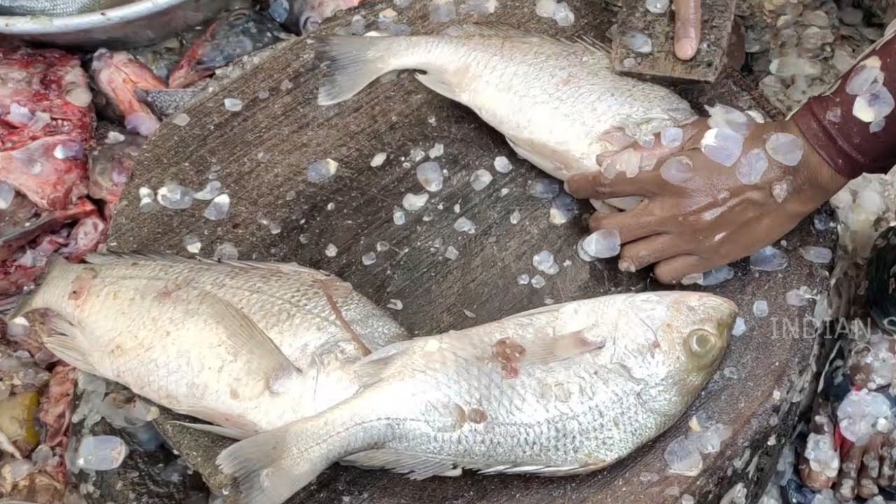 Amazing Pandu goppa fish cutting video | Musheerabad fish market ...
