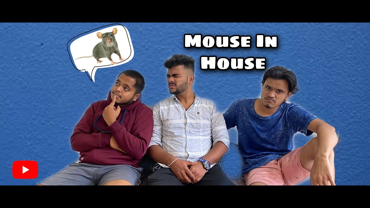 MOUSE IN HOUSE (ROOMMATES) FUN BEGINS. - YouTube